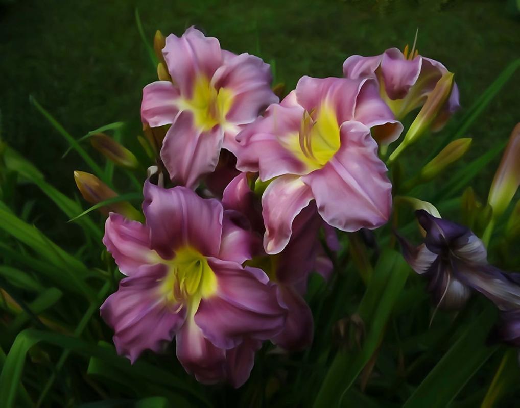 Competition Gallery | La Crosse Area Camera Club